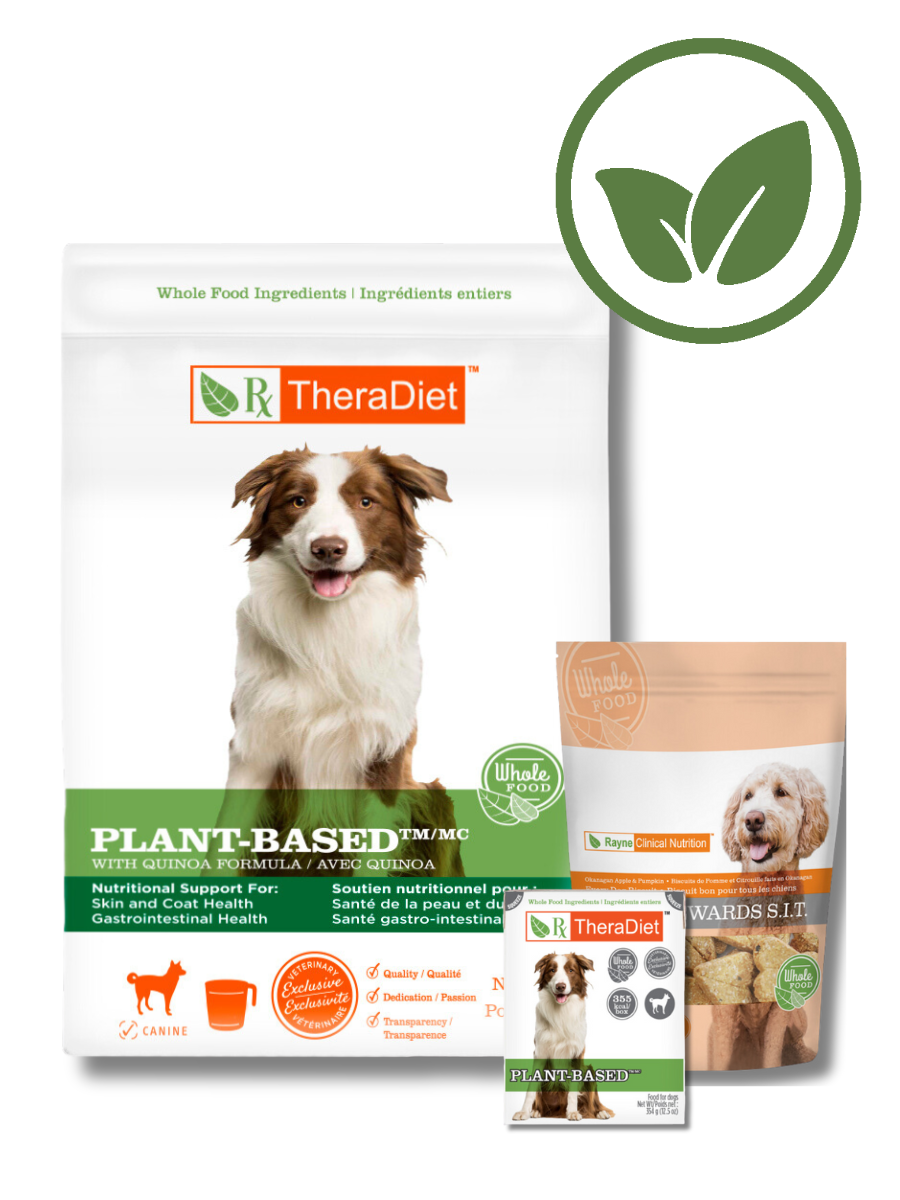 Rayne Nutrition | Whole Food Ingredients, Less-Processed Pet Food